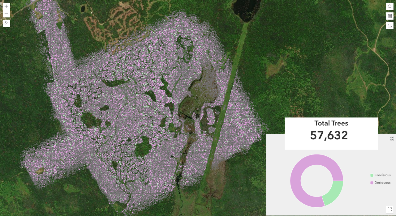 Trail Suitability in the Dense Northern Forest - Whiteout Solutions